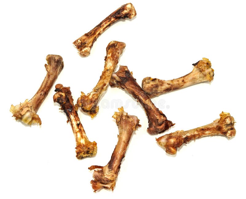 Small Bones on a White Background. Food Scraps Stock Image - Image of ...