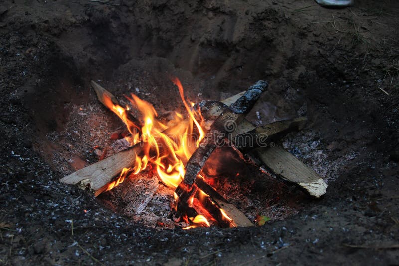 Bonfire in forest, camp stock image. Image of fire, barbecue - 14359487