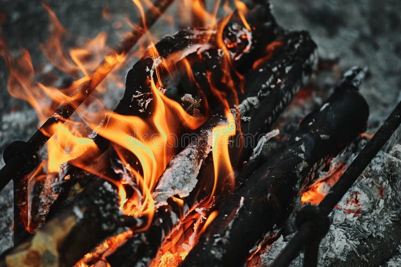 Small Bonfire in the Forest Late in the Evening Close-up Stock Image ...