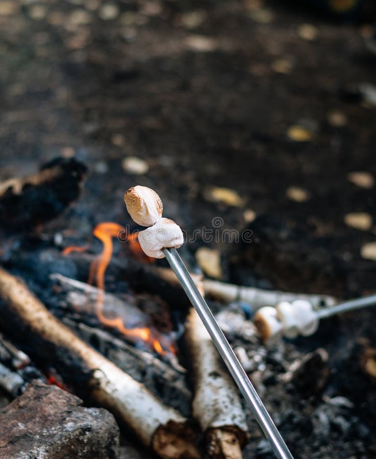 Small bonfire stock image. Image of glowing, smoke, firewood - 15257567