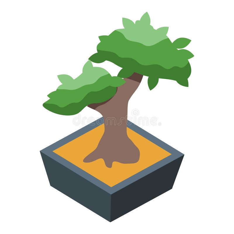 Small Bonsai Tree Growing in Square Pot Isometric Illustration Stock ...