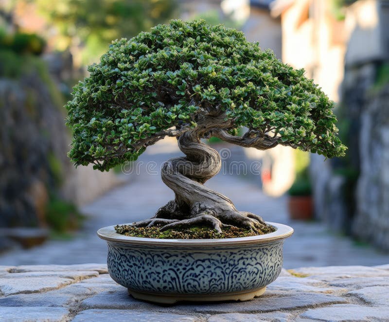 Small Bonsai Tree Standing on Stone Pavement Stock Illustration ...