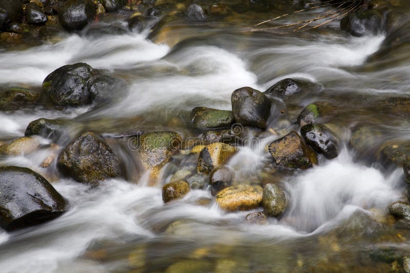 Small boulders in a creek stock photo. Image of flowing - 17991438