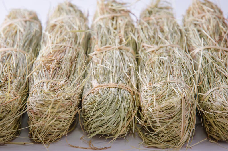 Small Bound Hay Bales or Haystacks Stock Image - Image of outdoor ...