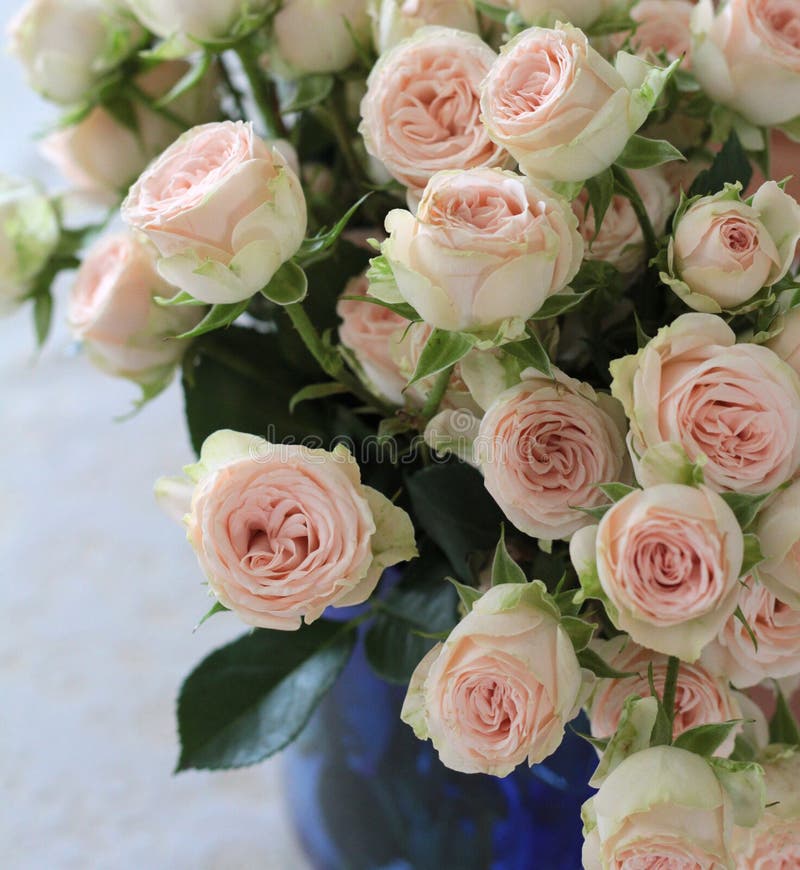 Small bouquet of roses stock photo. Image of spray, color - 101263776