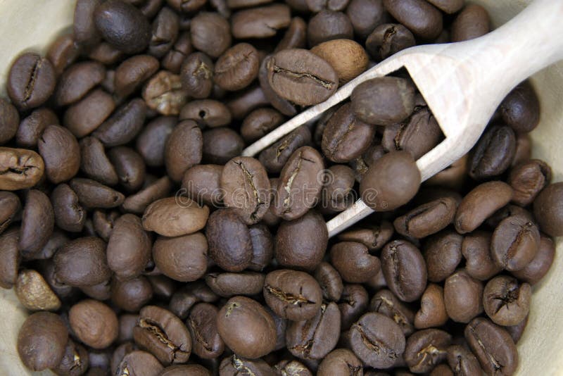 Small Bowl Full of Roasted Coffee Beans. Roasted Coffee Beans. Stock ...