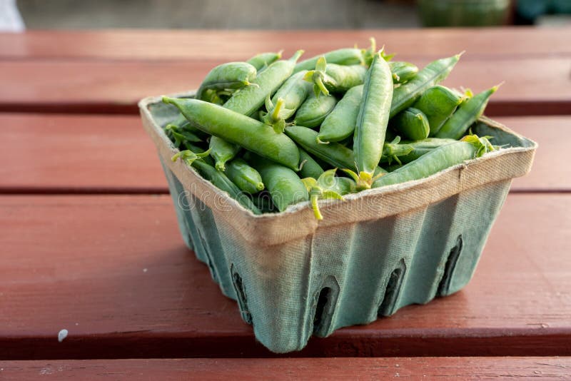 Green Peas in a Box stock photo. Image of vegetable - 221329690