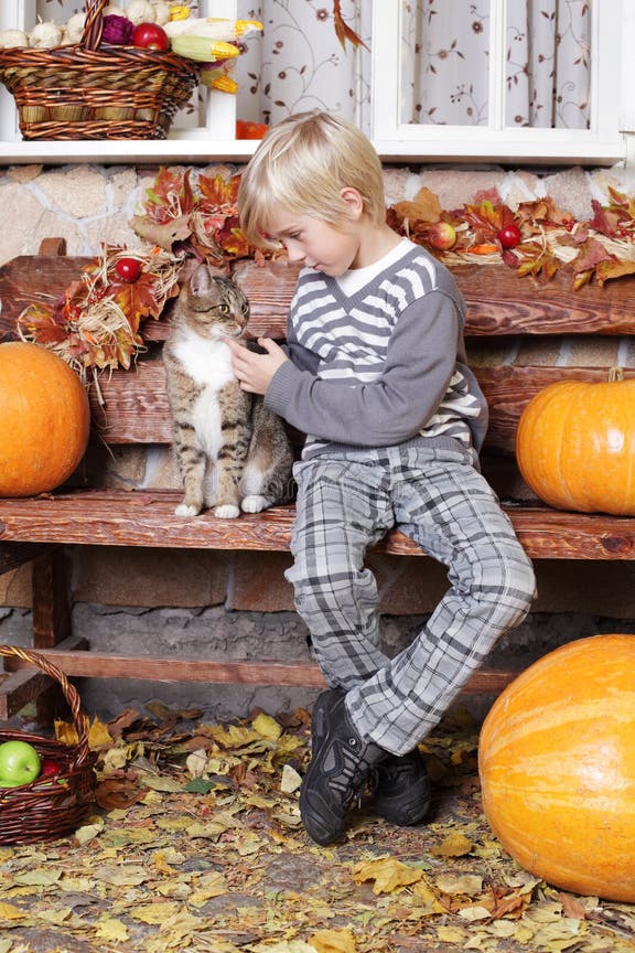 Small boy with cat stock photo. Image of childhood, leaf - 32807128