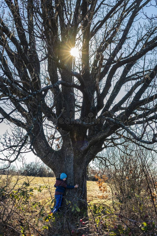 143 Boy Hugging Big Tree Stock Photos - Free & Royalty-Free Stock ...