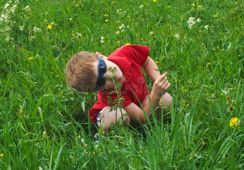 Boy relaxing on a meadow stock image. Image of landscape - 19664287