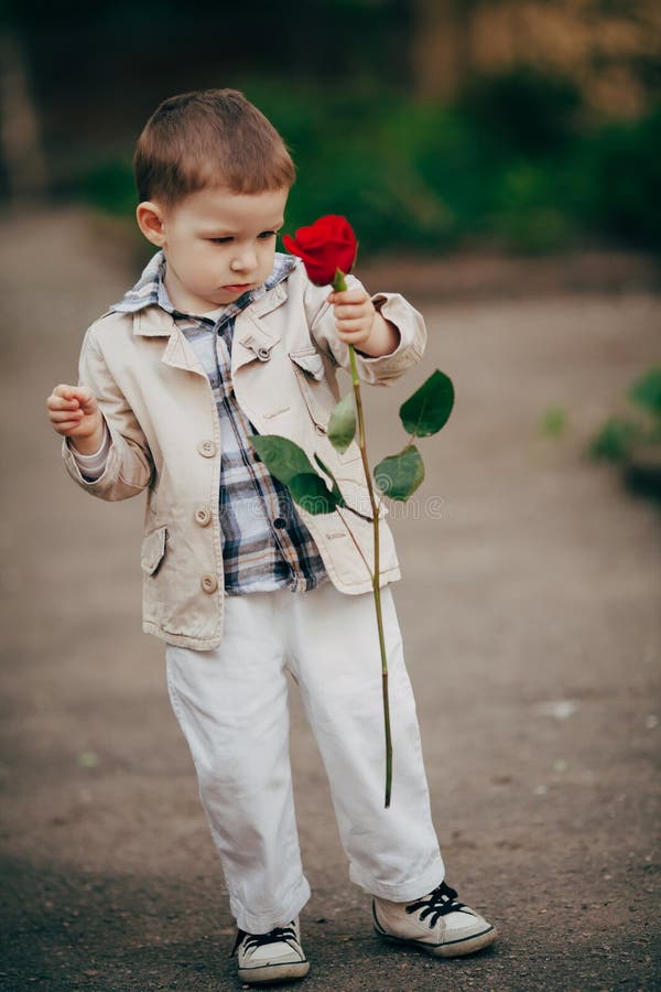 Pretty Boy Hold Red Rose In Hand Stock Photo - Image of valentine ...