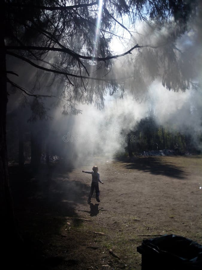 Small Boy Running through Forest Shrouded in Smoke Stock Photo - Image ...