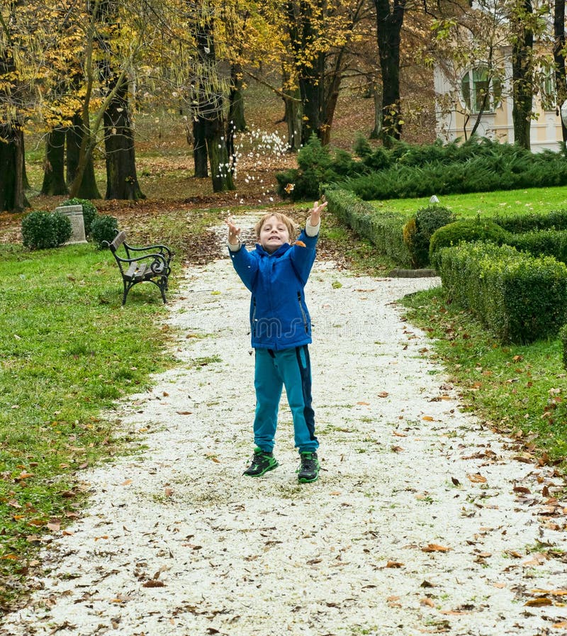 Tossing pebbles stock photo. Image of drop, shape, throwing - 696486