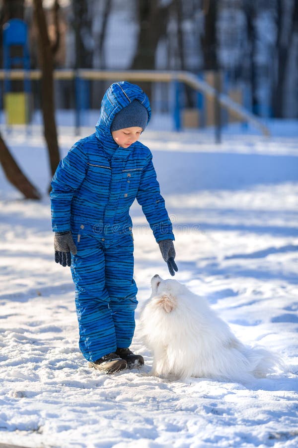 Small Boy Training a Spitz Dog in the Park Stock Photo - Image of park ...