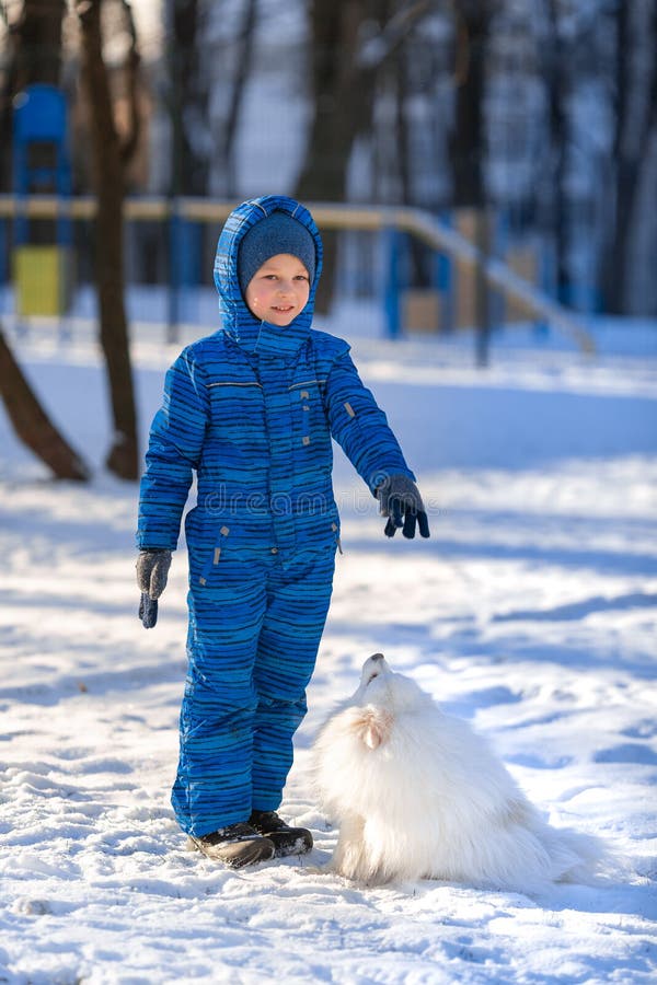 Small Boy Training a Spitz Dog in the Park Stock Image - Image of ...