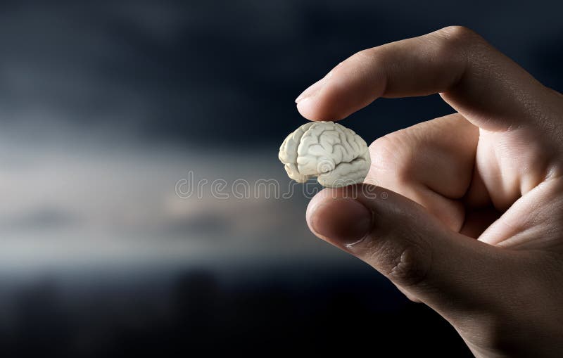 Small Brain between Fingers Stock Image - Image of show, intelligence ...