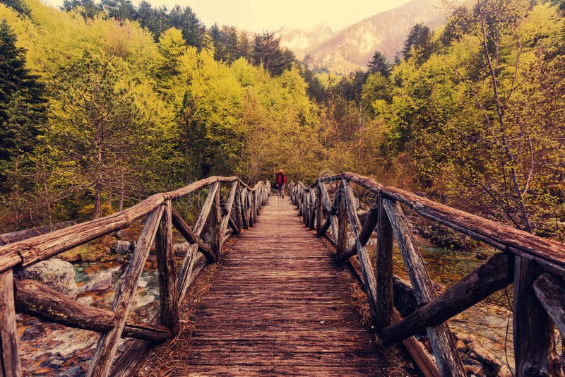 Small bridge stock photo. Image of trees, path, trail - 65803392