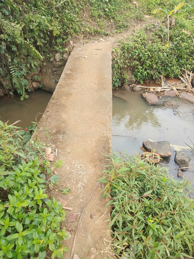 Small Bridge Connecting Two Areas Editorial Image - Image of woodland ...