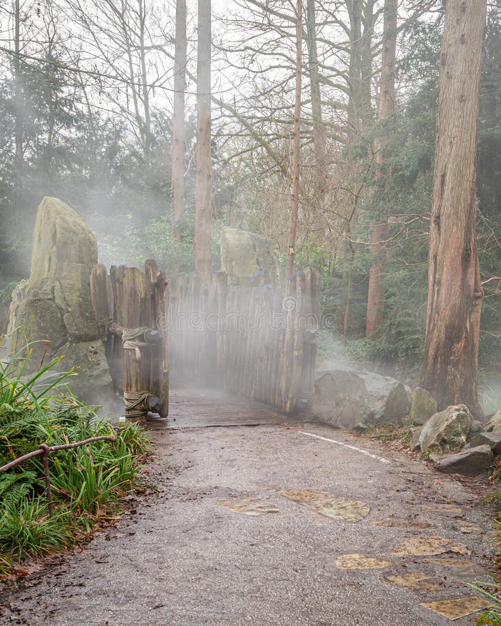 Bridge Covered Snow with Frozen River Stock Image - Image of world ...