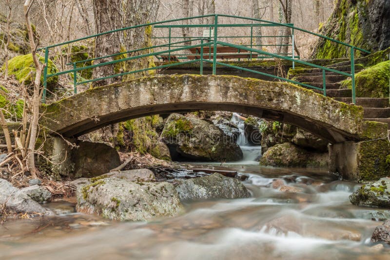 Small bridge in the forest stock image. Image of forest - 51026177