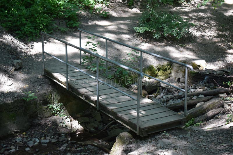 Small Bridge in the Forest stock image. Image of water - 281197463