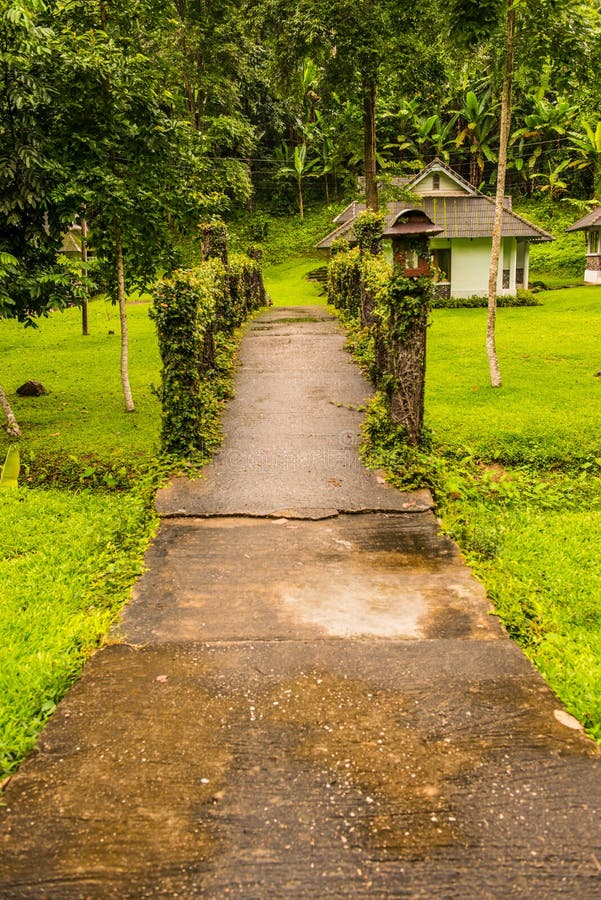 Small bridge in forest stock photo. Image of path, park - 245757376