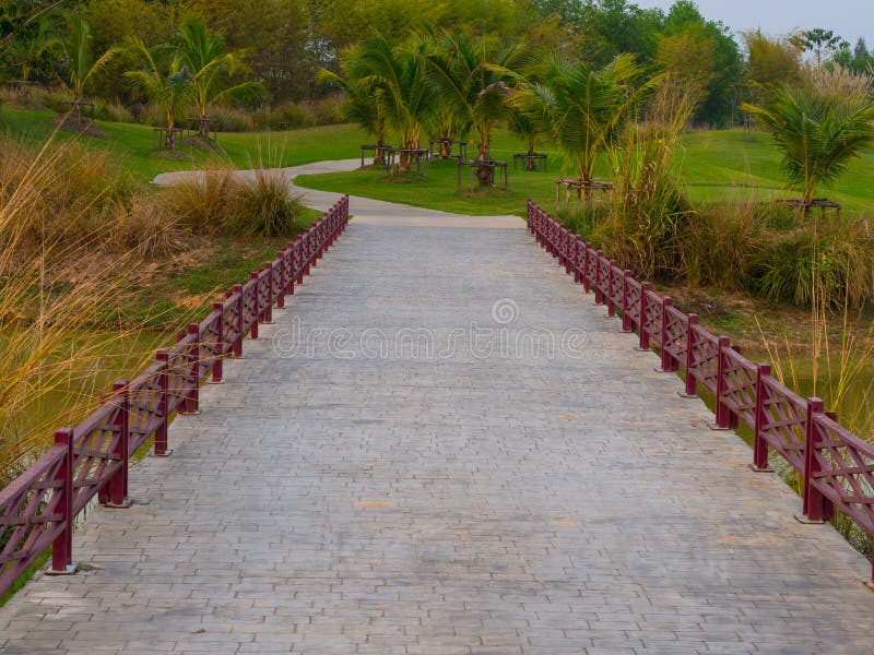 Small bridge in green park stock photo. Image of serene - 67164786