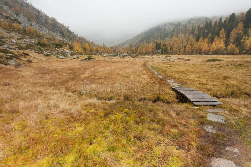 Small Bridge Long a Path in the Meadow at Fall Stock Image - Image of ...