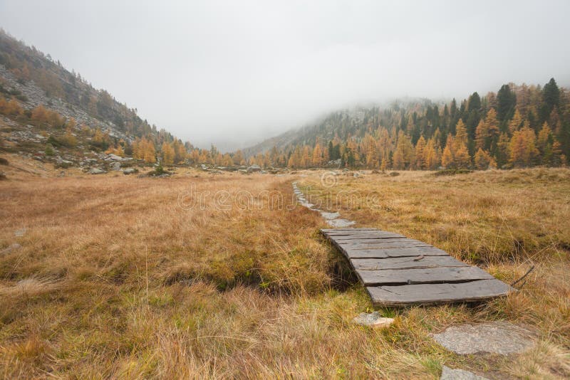 Small Bridge Long a Path in the Meadow at Fall Stock Image - Image of ...