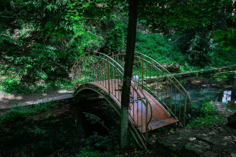 A Small Bridge Over a Clear River in a Deciduous Forest Stock Image ...