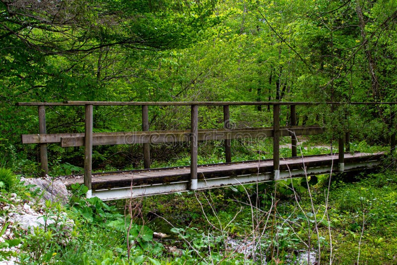 Small Bridge Over a Forest Stream in the Austrian Alps Stock Photo ...