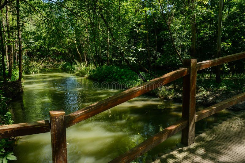 Small Bridge Over Rivulet through Woods in Sunny Summer Stock Image ...