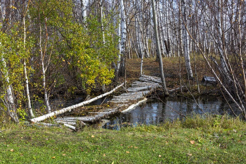 Small Bridge Over the Stream Stock Photo - Image of ferry, path: 181145726