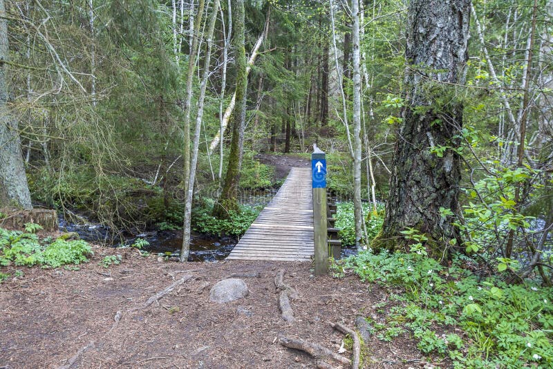 Small bridge over a stream stock image. Image of path - 209807097