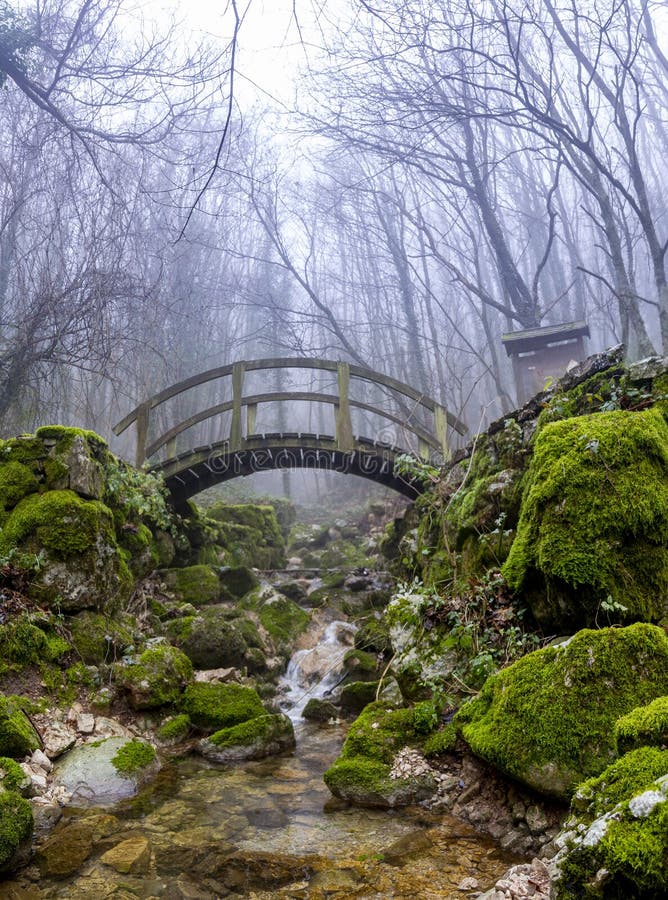 Small bridge over stream stock photo. Image of peaceful - 183436676
