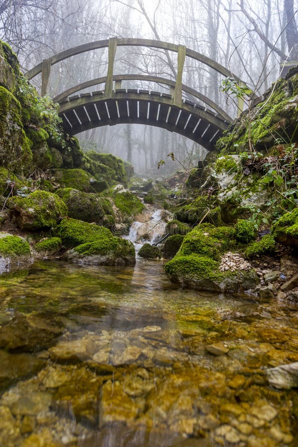 Small bridge over stream stock photo. Image of peaceful - 183436676
