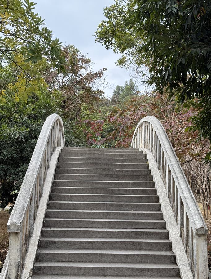 A Small Bridge in a Park in Southern China Stock Image - Image of ...