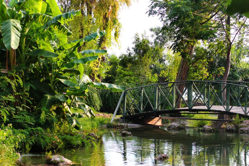 Small Bridge on a Pond in a Garden Stock Image - Image of footpath ...