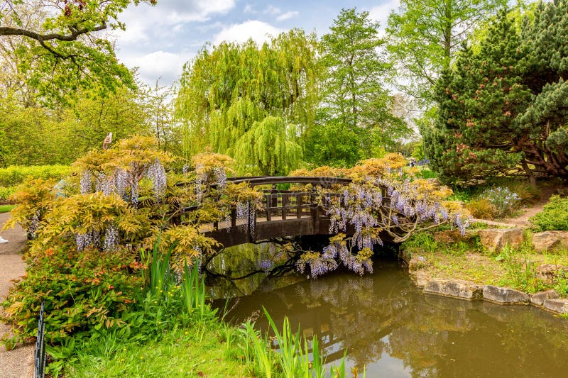 Small Bridge in Regent S Park Landscape in Spring, London, UK Stock ...
