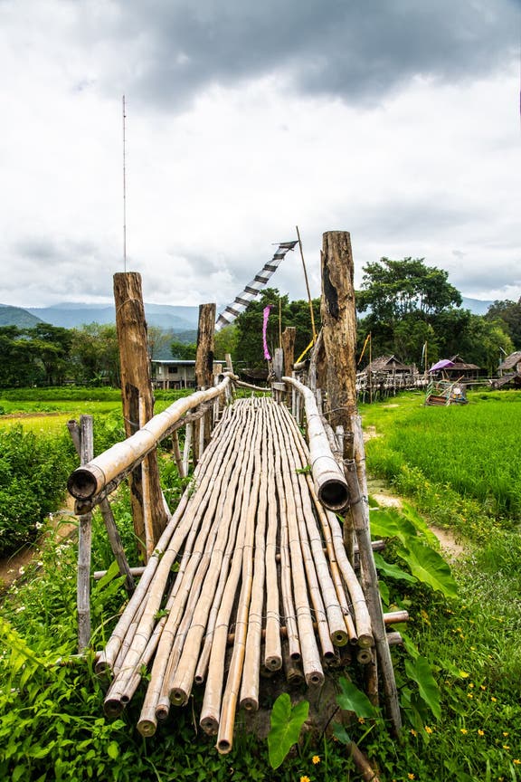 Small Bridge with Rice Field Stock Image - Image of house, province ...