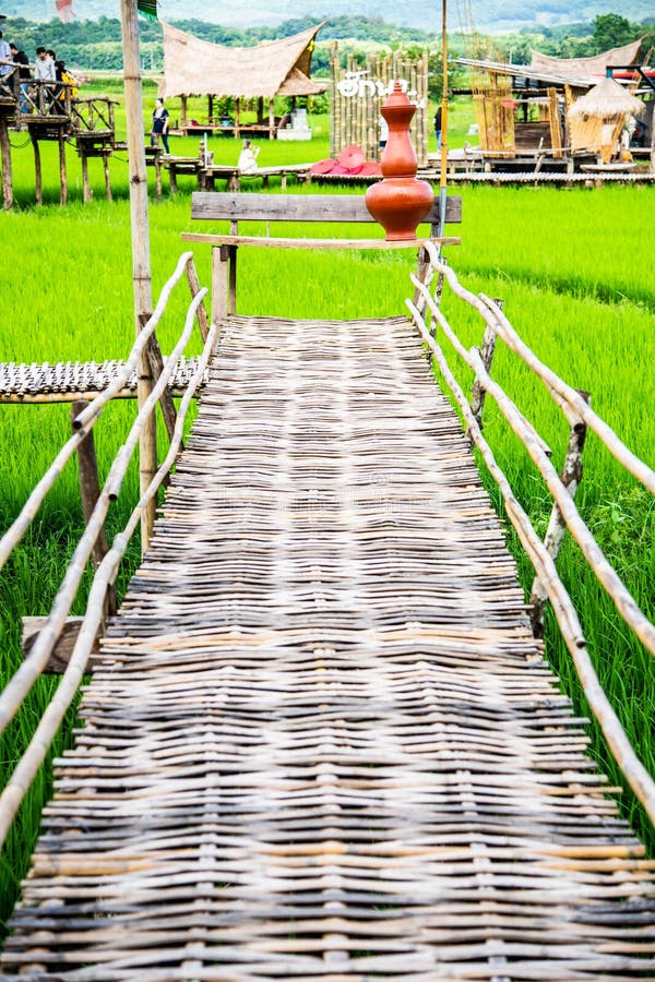 Small Bridge with Rice Field Stock Image - Image of countryside ...