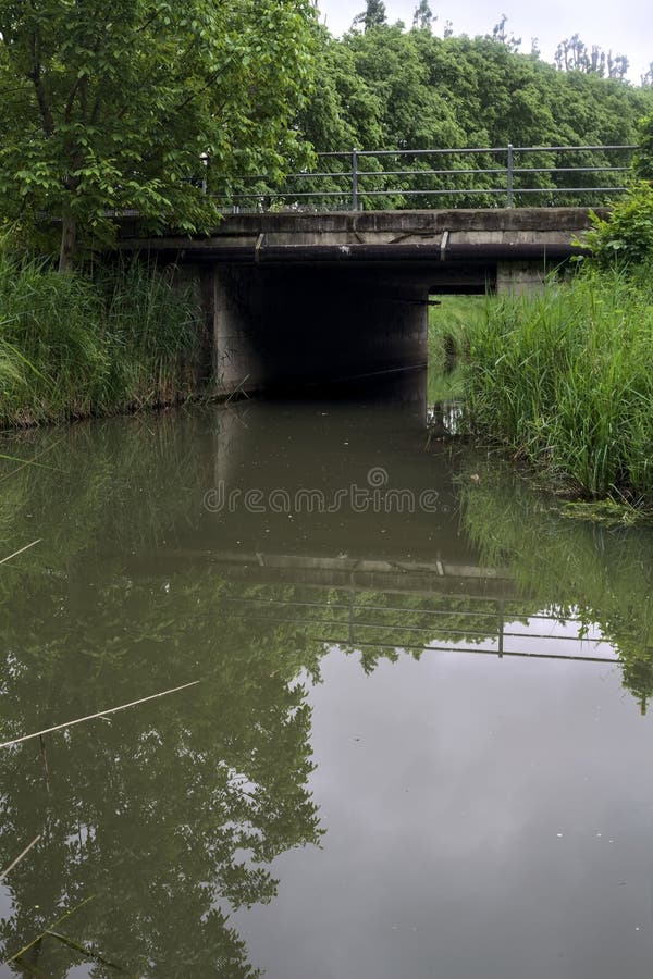 Small Bridge with a Tree Next To it Over a Brook on a Rainy Day in the ...