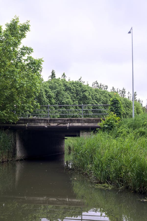 Small Bridge with a Tree Next To it Over a Brook on a Rainy Day in the ...