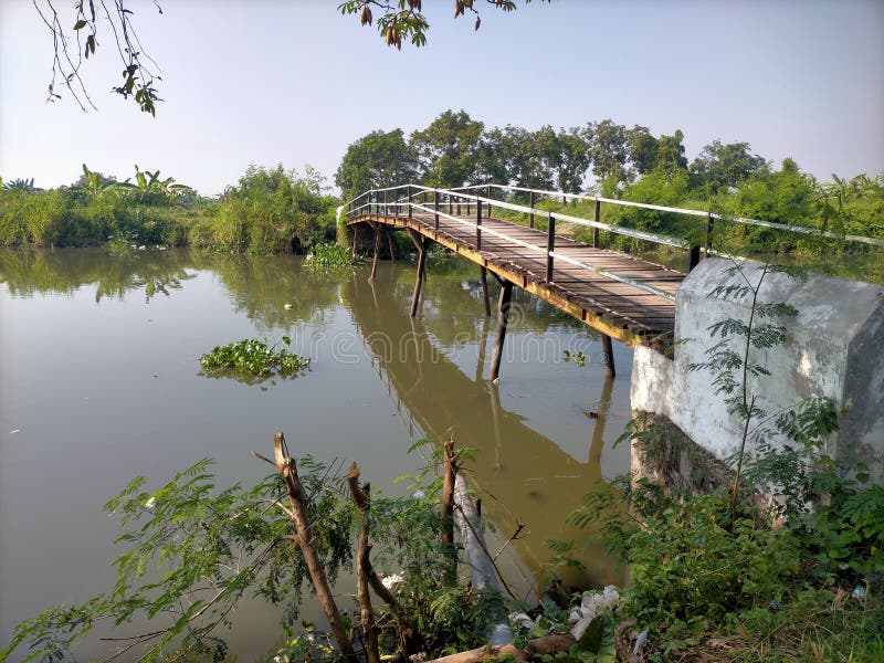 Small Bridge from Wood As a Means of Crossing the River Stock Image ...