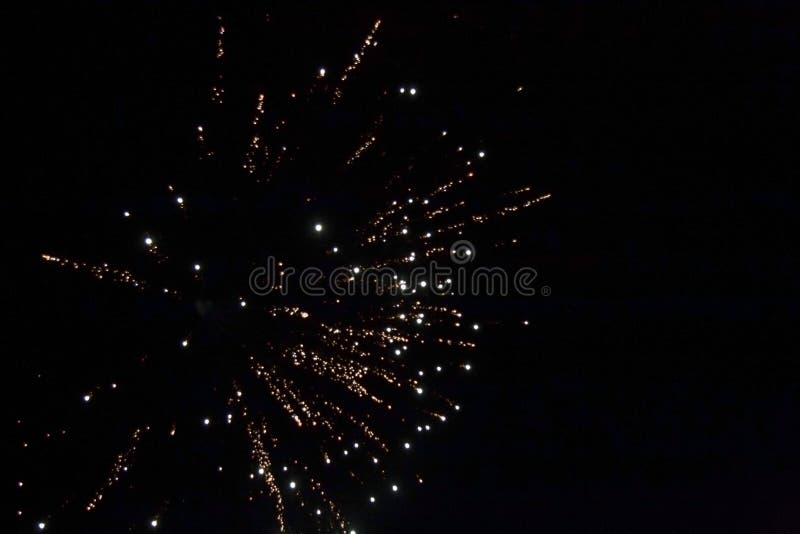 Firework Burst in Night Sky, Long Exposure Stock Image - Image of ...