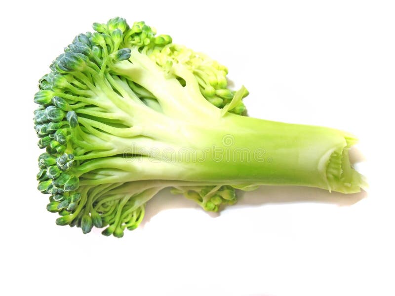 A small Broccoli florette stock image. Image of floret - 12108277
