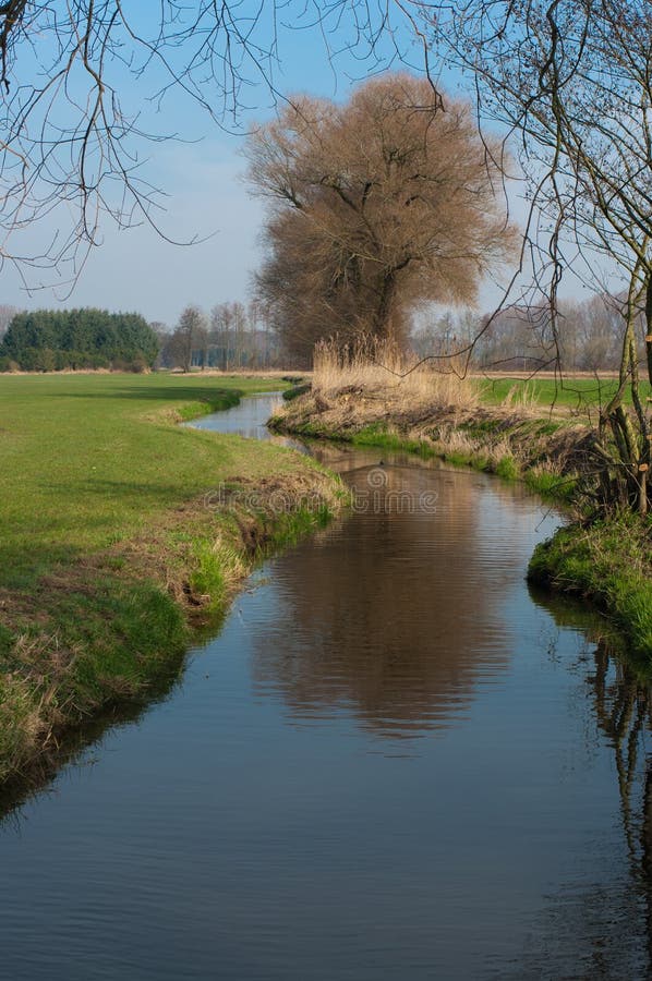 Small Brook with Plants stock image. Image of river, small - 43698969