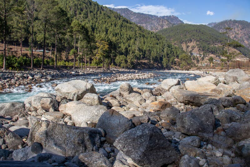 A Small Brook Flowing through the Valleys Stock Photo - Image of pine ...
