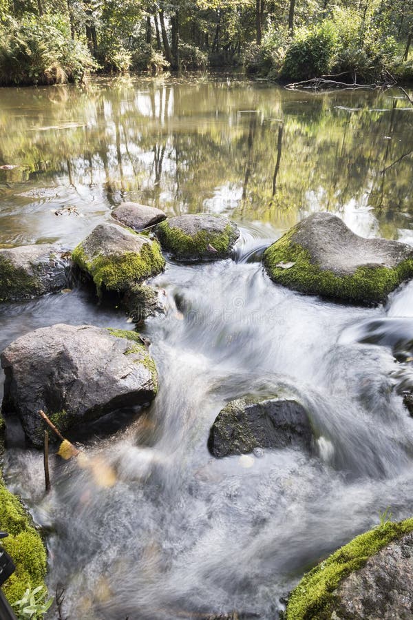 Small brook stock photo. Image of green, grass, poland - 52711212