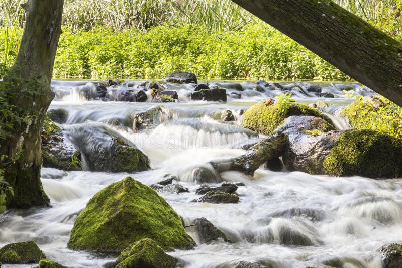 Small brook stock photo. Image of branch, rest, rural - 52711730